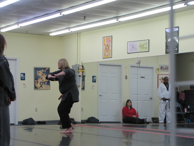 Ten-Chi Kenpo Photo Album